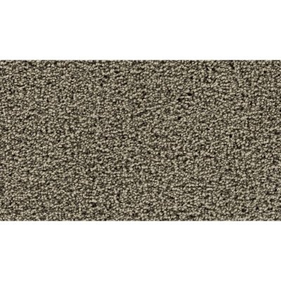 Gentle Path by Mohawk - Explorer - Floor Source